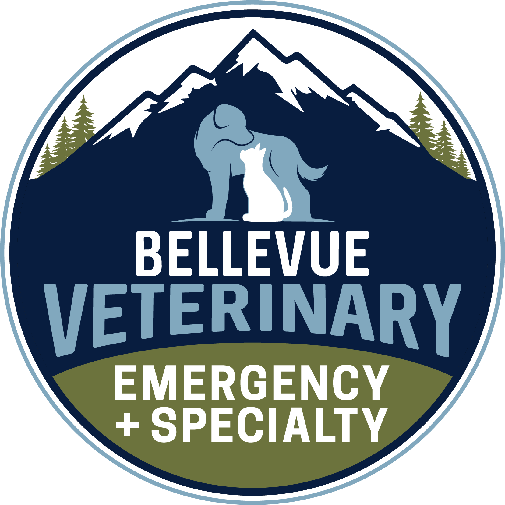 Digital Marketing Kit - Bellevue Veterinary Emergency and Specialty