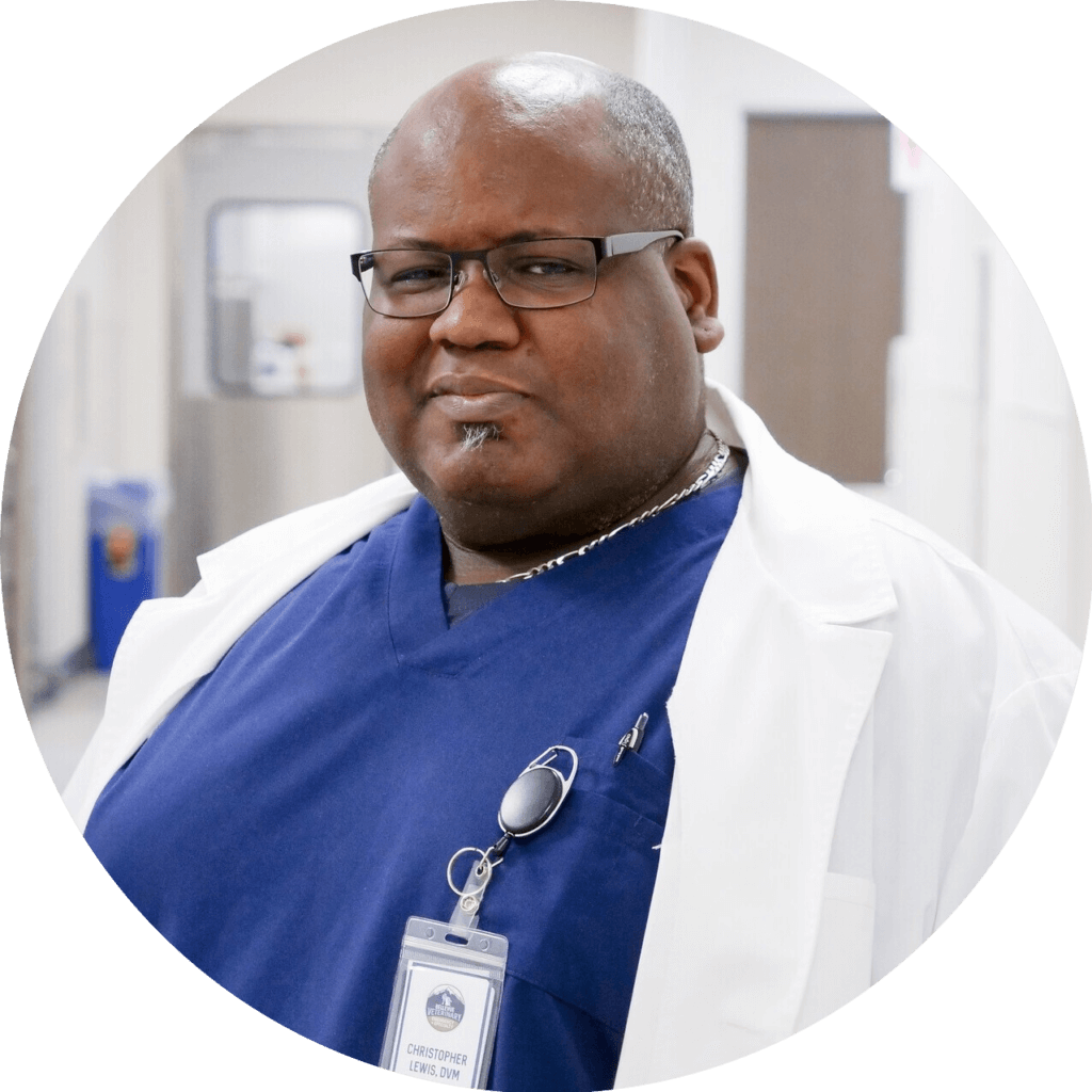 Our Pet Doctors - Bellevue Veterinary Emergency and Specialty