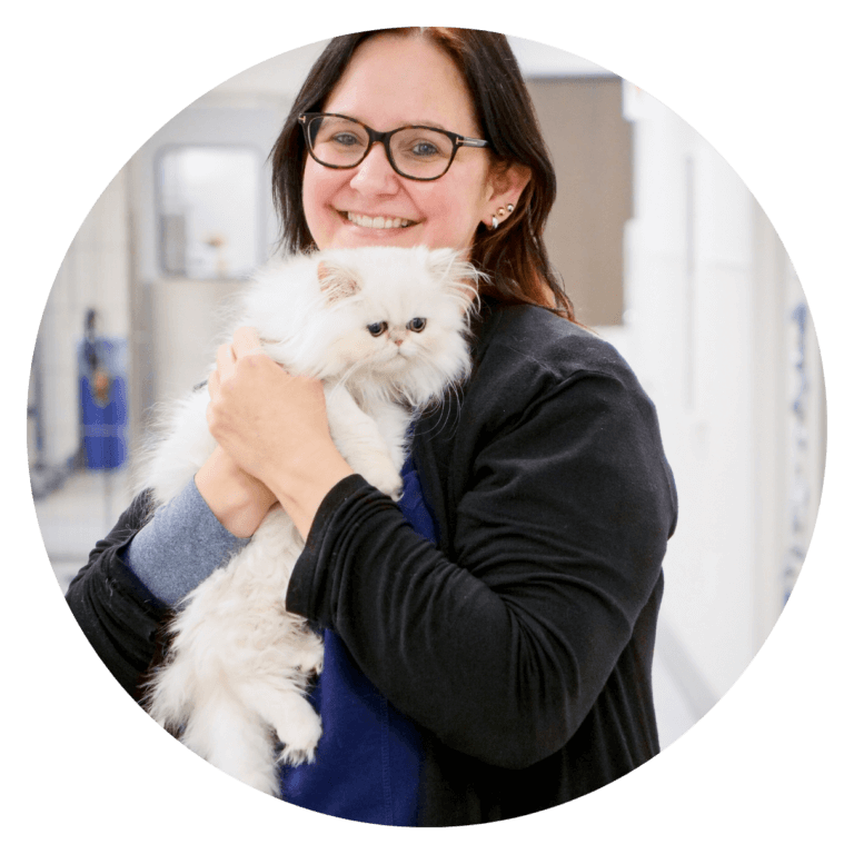 Our Pet Doctors - Bellevue Veterinary Emergency and Specialty