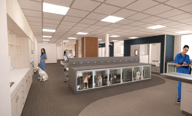 Home - Bellevue Veterinary Emergency and Specialty